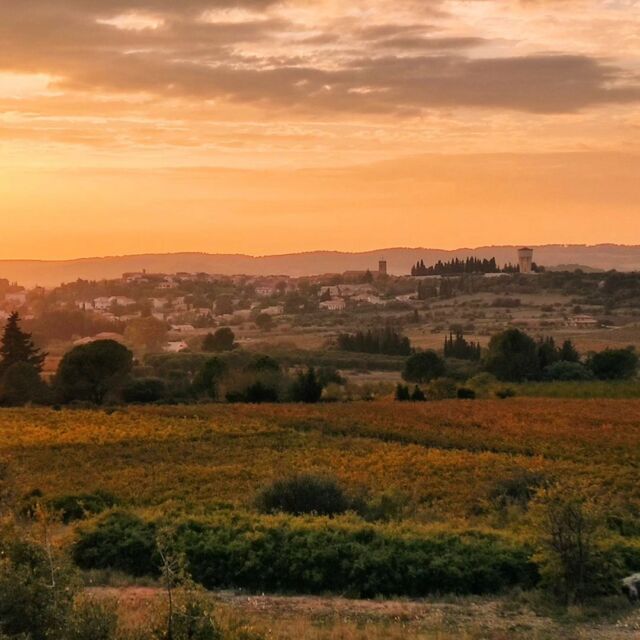 The wines of Languedoc AOP and IGP Sud de France